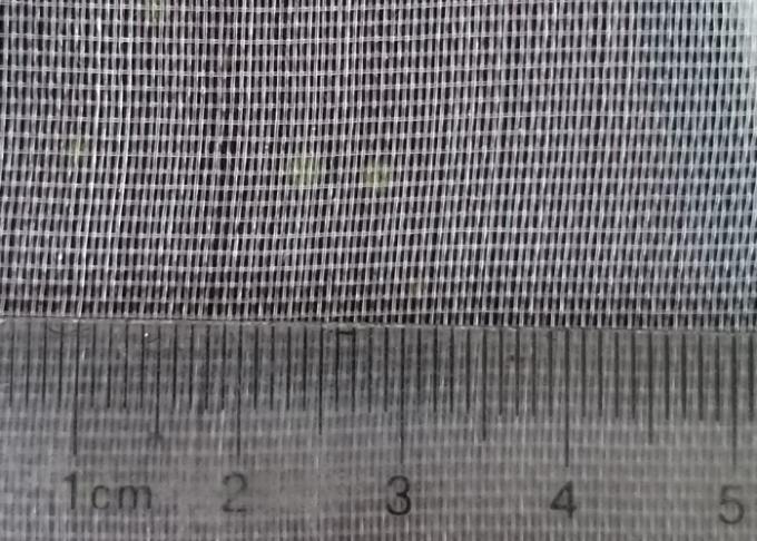 Anti Fungus Agriculture Insect Net UV Resistant HDPE 5000S