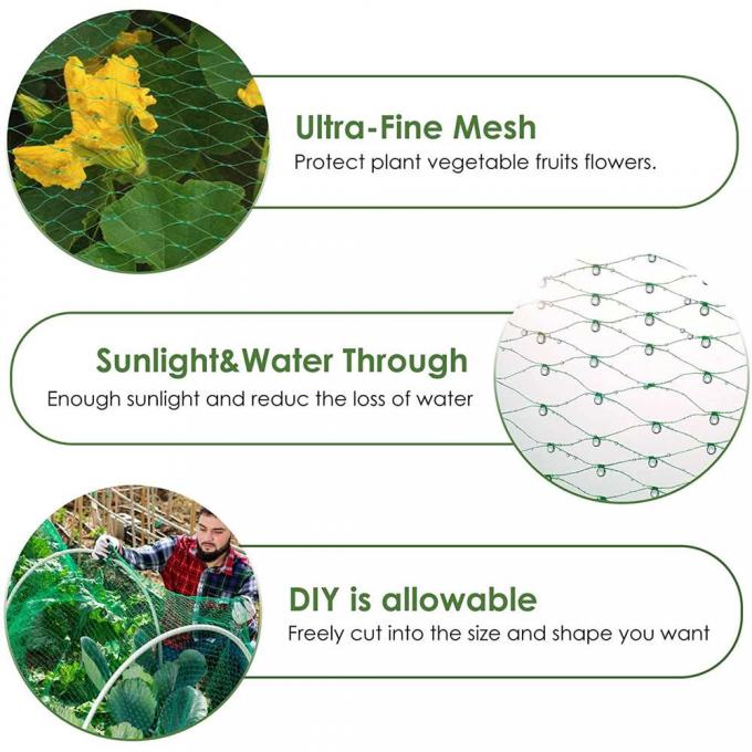 Anti Bird Polyethylene Mesh Netting Anti Mole Net Plastic Plant Growing ...