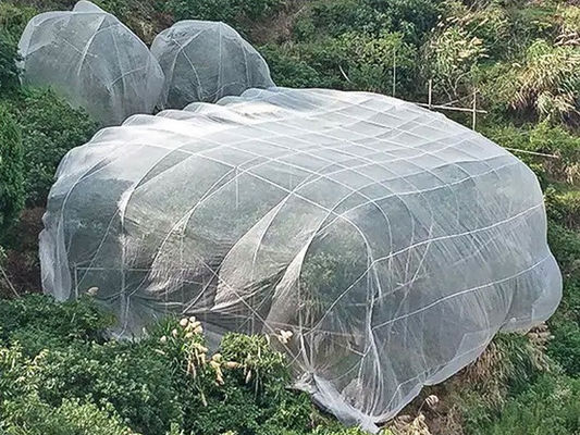 UV Treated Agriculture Insect Net